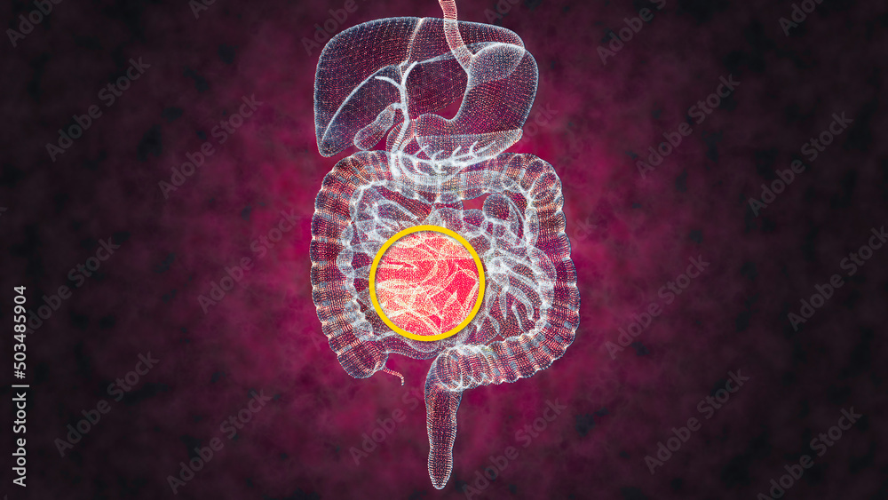 Human body, digestive system, anatomy. Intestine. Enlargement on the ...
