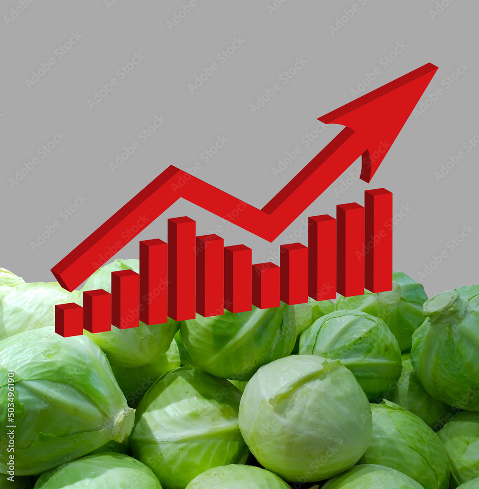 Red grow up large arrow on pile of Cabbage background. Bar charts and ...