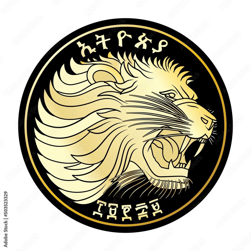 Ethiopian coin 1 birr lion head vector illustration Stock Vector ...