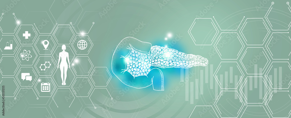 Graphic illustration of Pancreas organ visualization. Healthcare ...