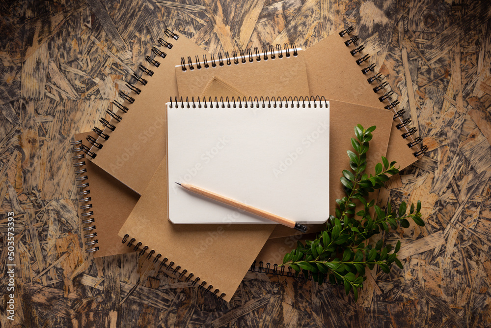 Notebook and branch with leaf on chipboard plywood background texture ...