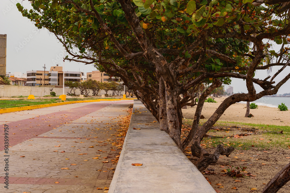Photos of a beach on a cloudy day from different angles and places, the ...