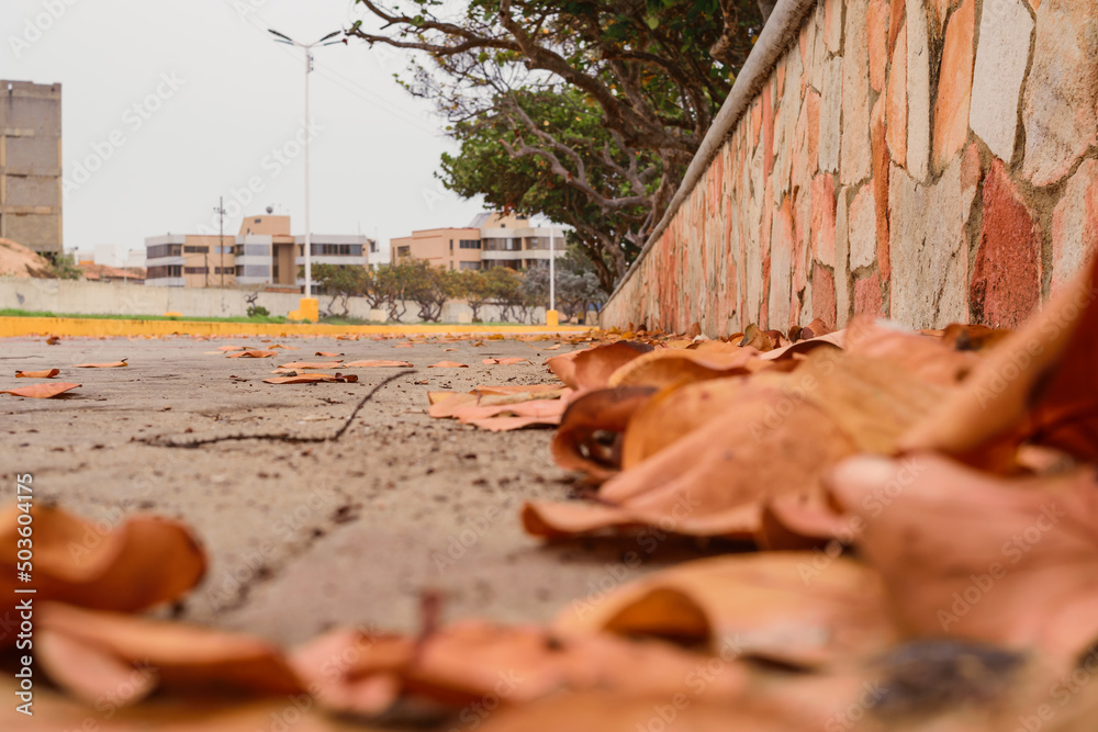 Photographs of a concrete path with cobblestone marks, at the ends it ...