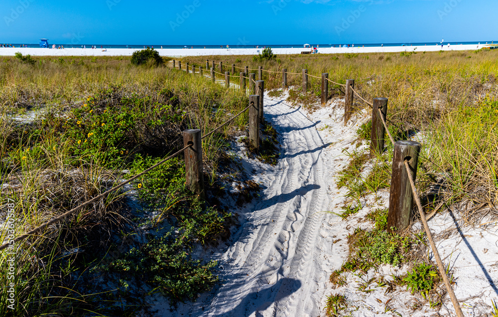 Trail Leading to the White Sand of Siesta Key Beach, Siesta Key ...