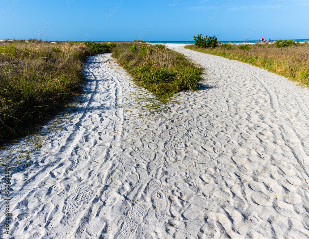 Trail Leading to the White Sand of Siesta Key Beach, Siesta Key ...