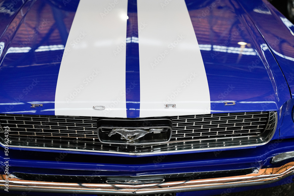 ford mustang fastback logo brand and text sign hood vintage retro ...