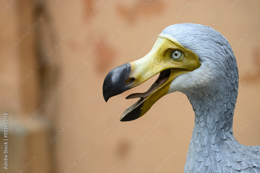 Poster Life size reconstruction of the extinct Dodo bird endemic of ...