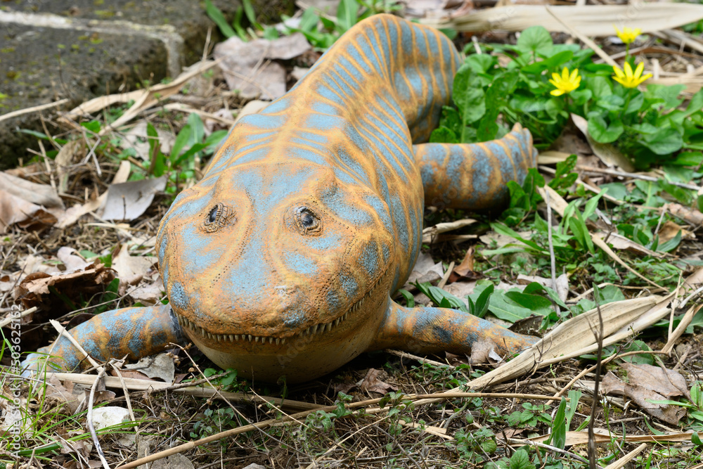 Reconstruction of a Devonian amphibian Ichthyostega Stock Photo | Adobe ...