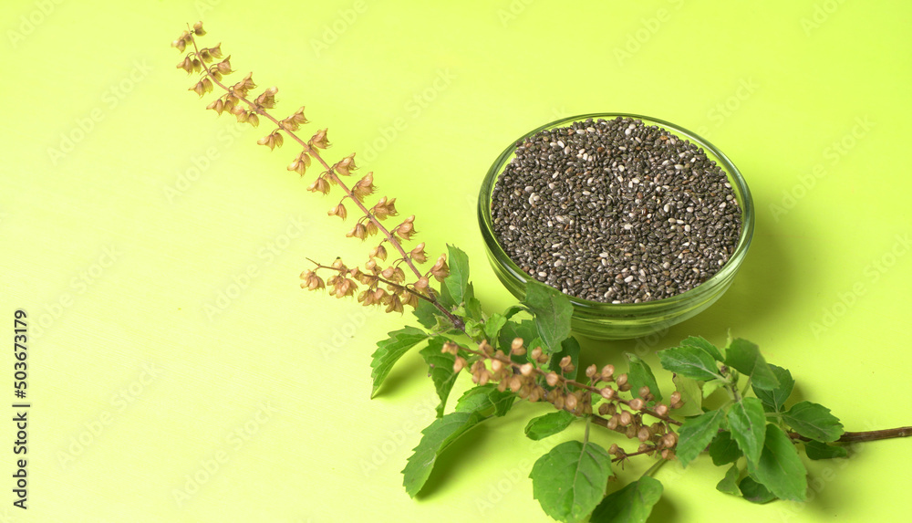 Holy basil, tulasi or tulsi, is an aromatic perennial plant in the ...