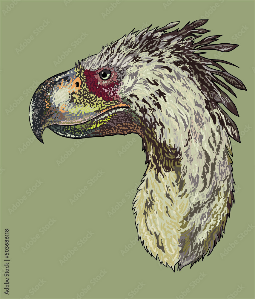 Drawing terror bird head, predator, art.illustration, vector Stock ...
