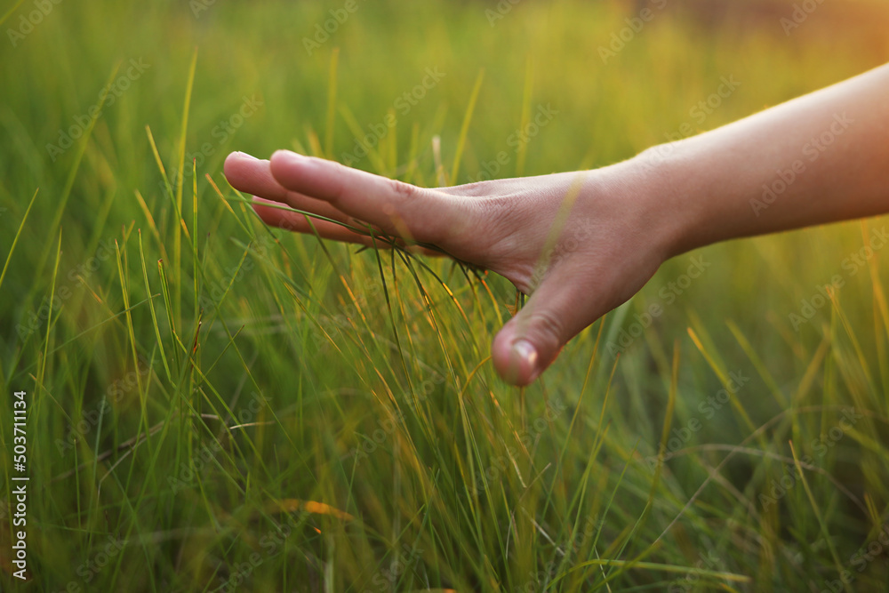 Child hand touching grass. Background with copy space. Stock Photo ...