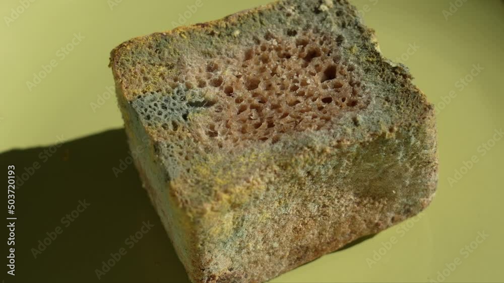 Colorful green, white, blue, yellow mold on surface of loaf of bread ...
