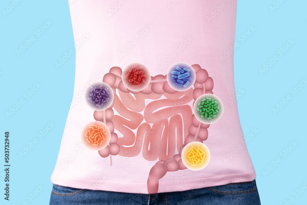 Probiotics health benefits. Intestine of woman with good bacteria set ...