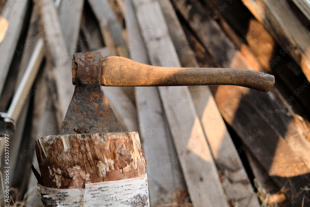 chopping wood with an ax in the village. Axe wedged into tree stump ...