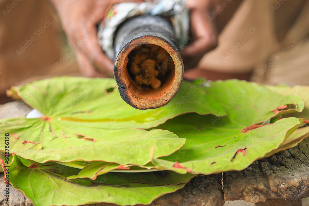 Bamboo chicken, chicken cooked in bamboo,rice cooked in bamboo,bongu ...