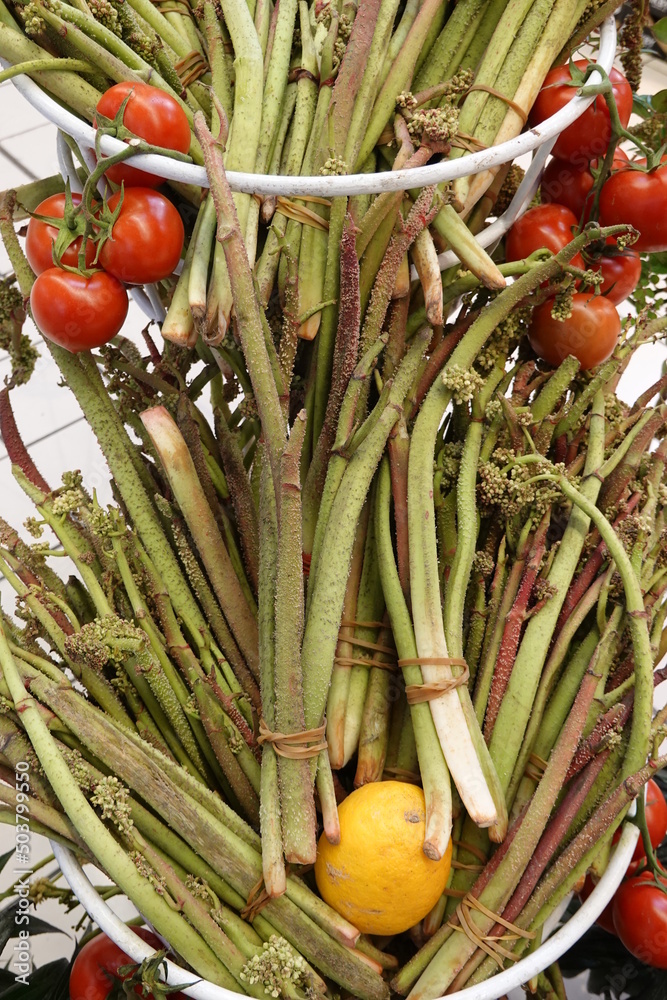 Rheum ribes L. is a perennial plant that belongs to the family of ...