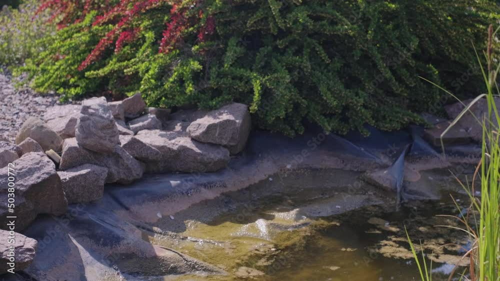 Dried out bottom of HDPE plastic sheet of artificial garden fish pond ...