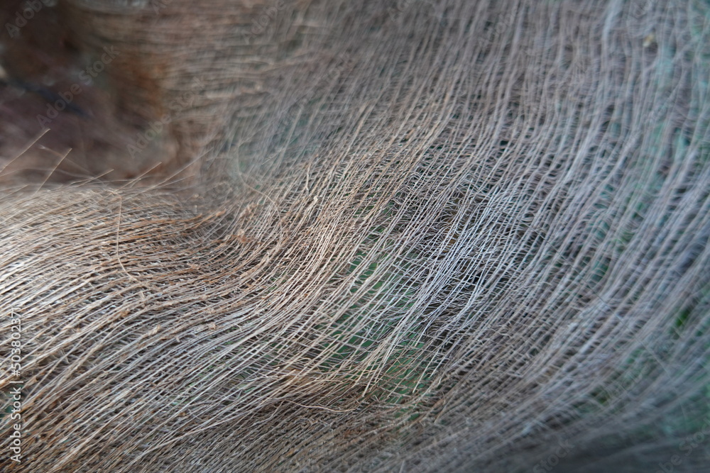 Detail of palm tree trunk vegetal fibers .A close-up shot of natural ...