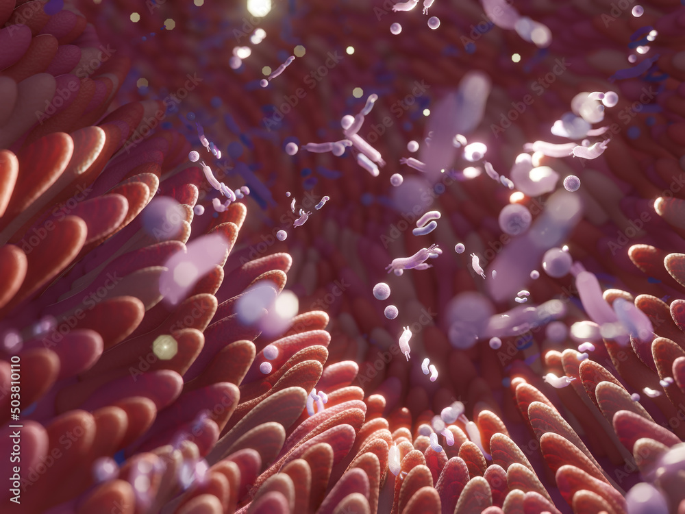 Microbiome intestine factories and microbiota. Gut health 3d render ...
