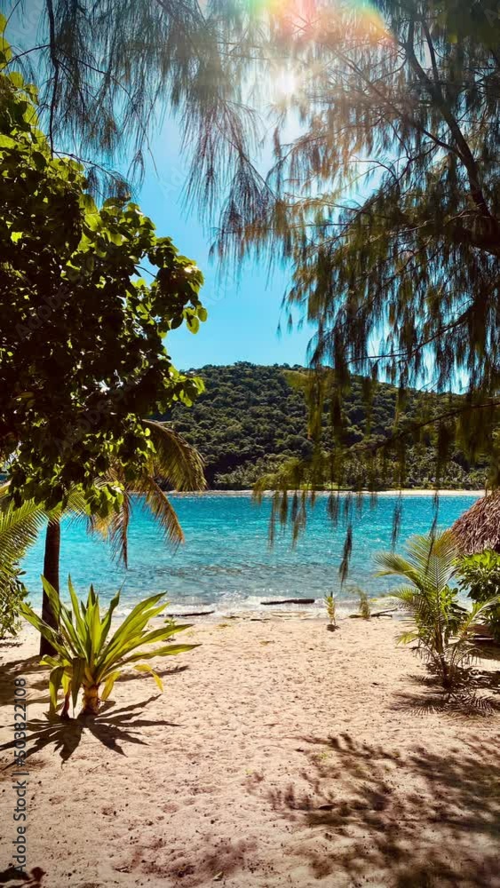 Vertical video of Fiji beach paradise Stock Video | Adobe Stock