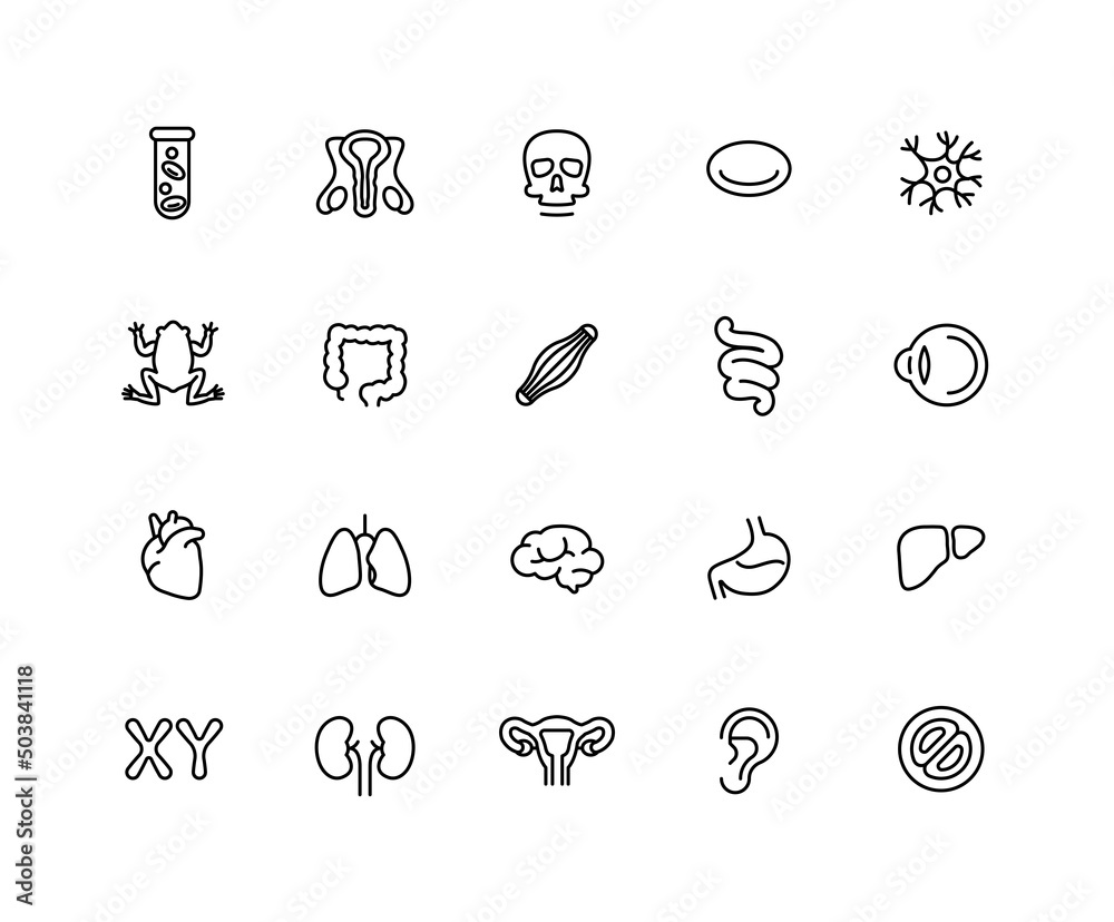 Collection of human organs linear icons. Set of human body, Cell ...