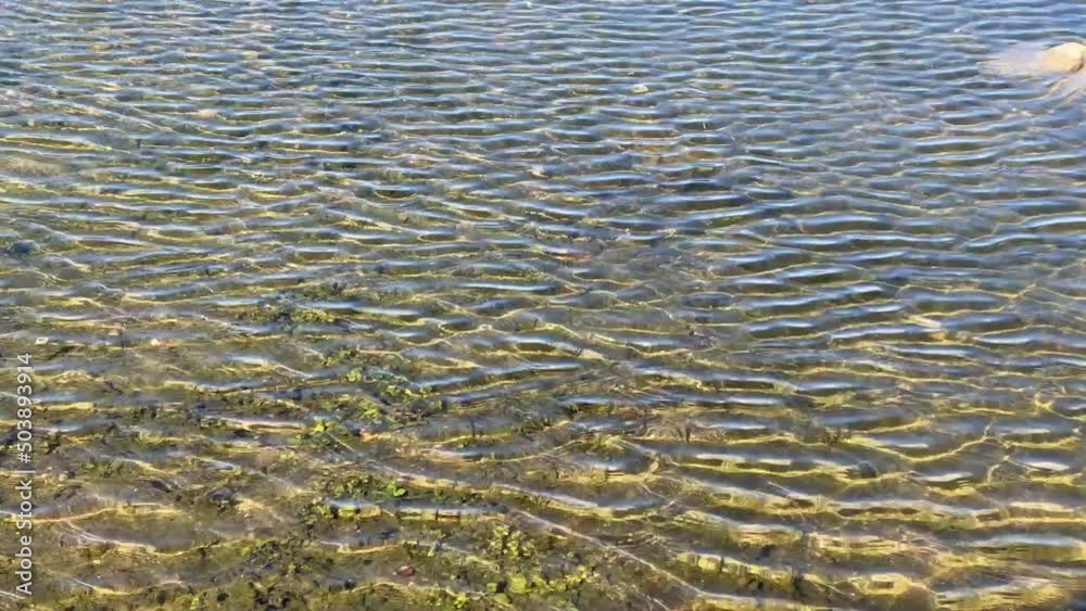Close up of ripples on the water surface of the lake crystal clear ...
