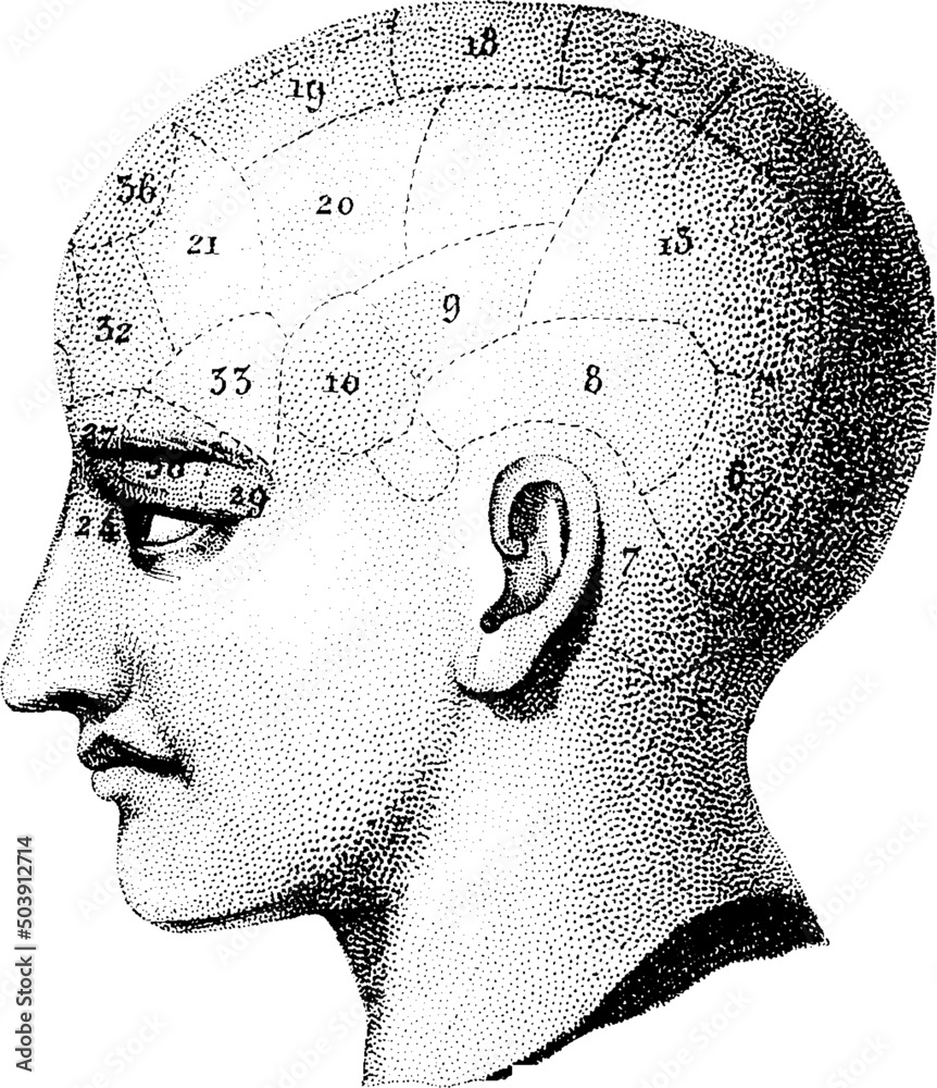 vintage head profile with a transparent background Stock Illustration ...