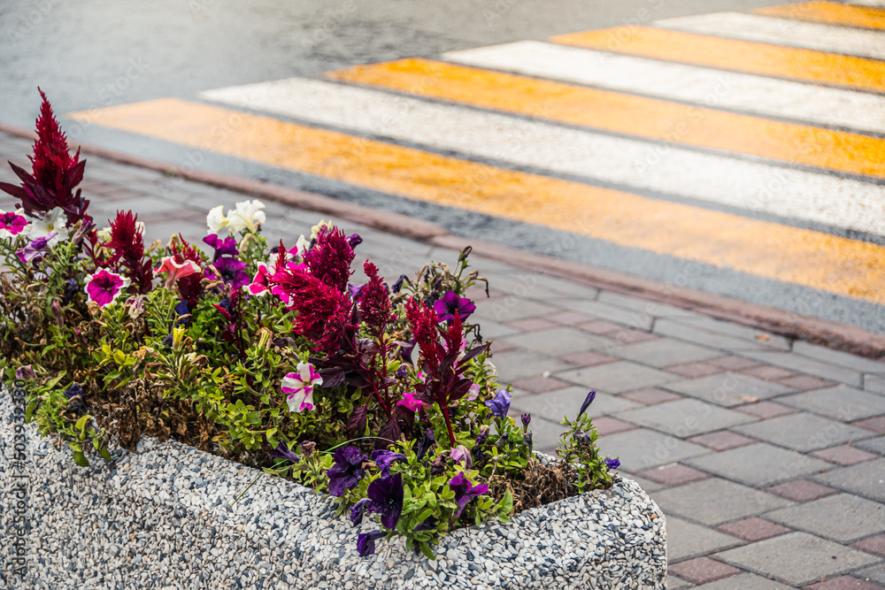 Sidewalk with lanes of pedestrian crossing on wet asphalt. Traffic ...