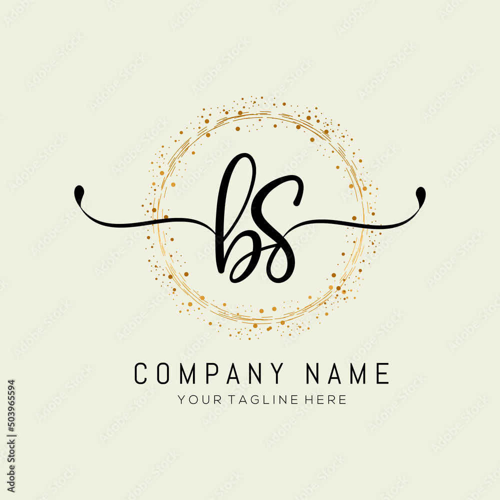 initial BS handwriting logo design vector template illustration ...