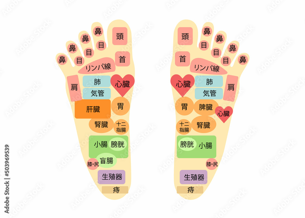 足裏 ツボ 図無料ダウンロード 足の甲ツボ一覧図 Nrdtx