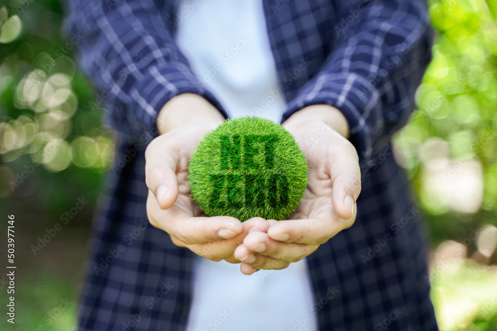 Net Zero and Carbon Neutral Concepts Net Zero Emissions Goals Weather ...