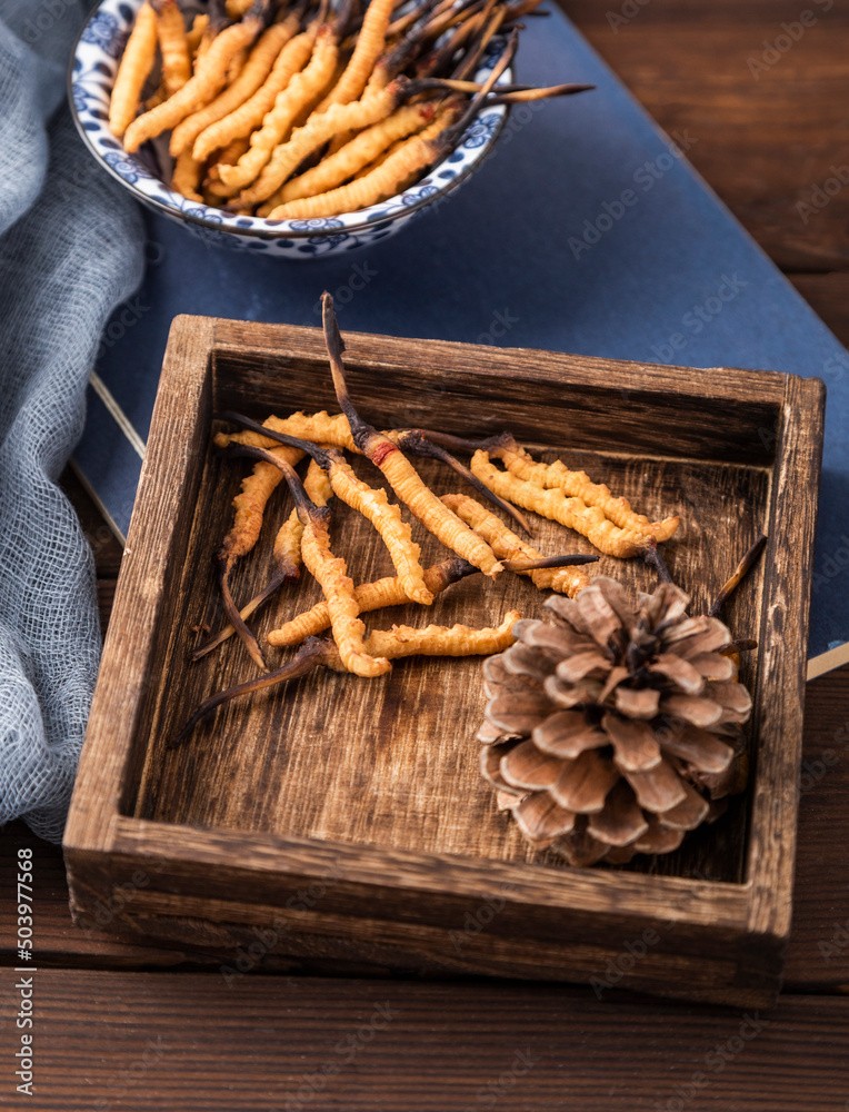 Photography of cordyceps sinensis, a nourishing Chinese herb Stock ...