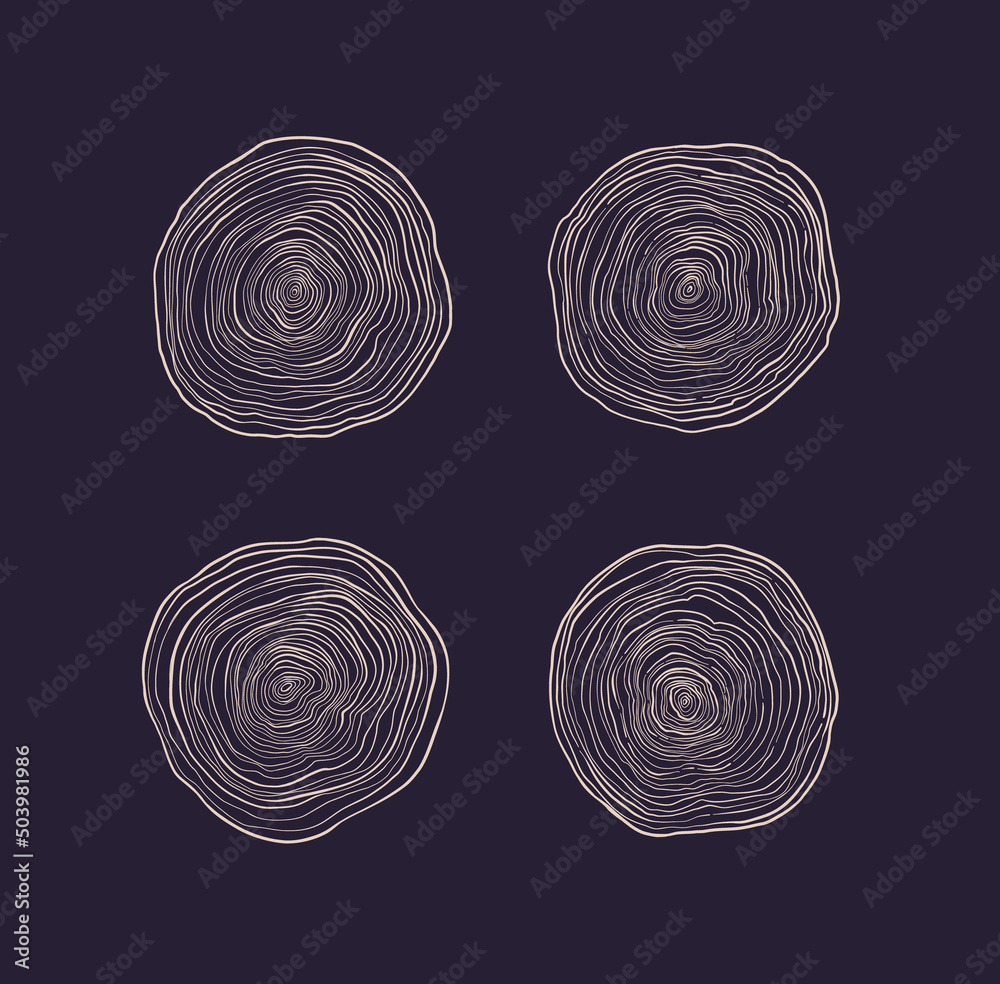 Linear hand drawn illustrations - annual rings. Stump Rings. Wooden ...