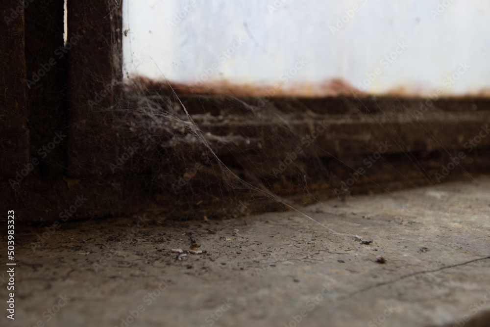 Spider webs on a window sill. Metal window frame covered in dust ...