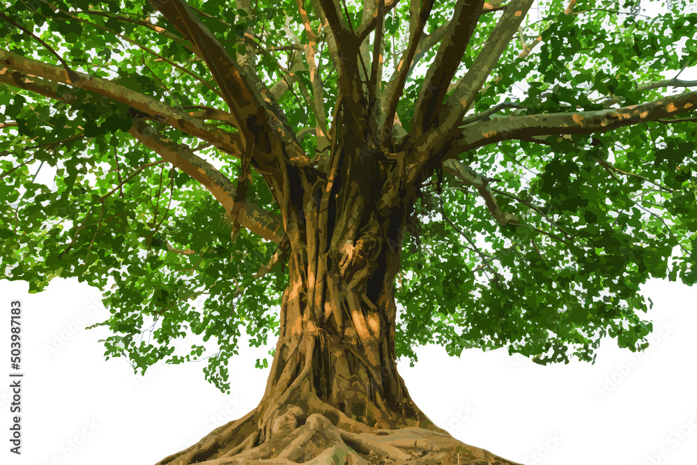 Abstract the Sacred fig Tree, The peepal tree, Peepul of India, Pipal ...