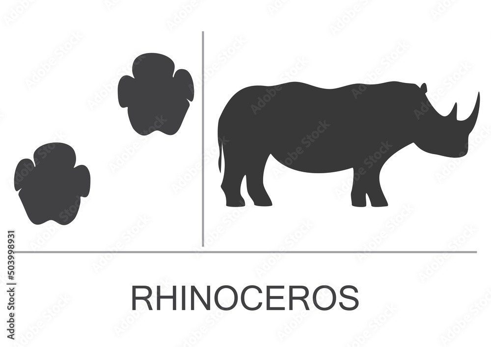 Rhino Footprint