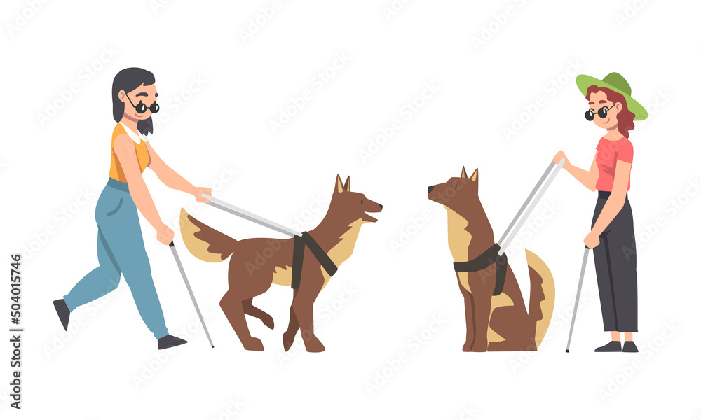 Guide Dog with Blind Woman as Trained Assistance Pet and Seeing Eye ...