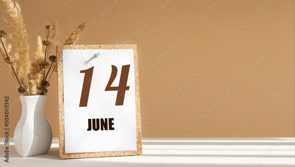 june 14. 14th day of month, calendar date.White vase with dead wood ...
