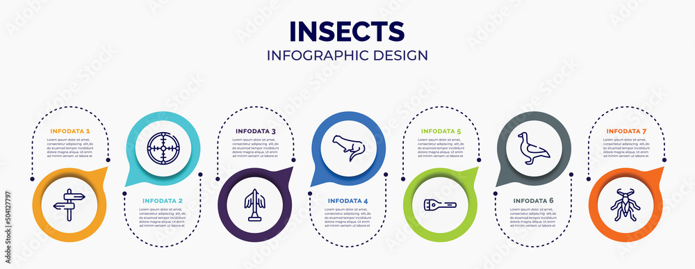 infographic for insects concept. vector infographic template with icons ...