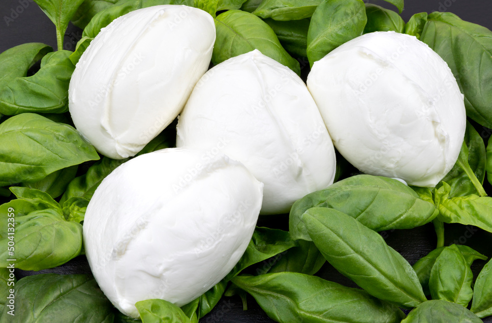 Italian buffalo mozzarella (mozzarella di bufala) on fresh basil leaves ...
