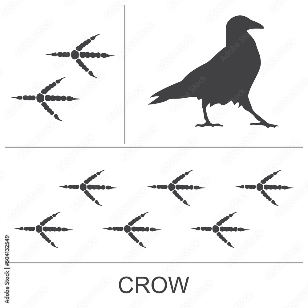 Silhouette and footprints of a crow. Vector illustration. Stock Vector ...