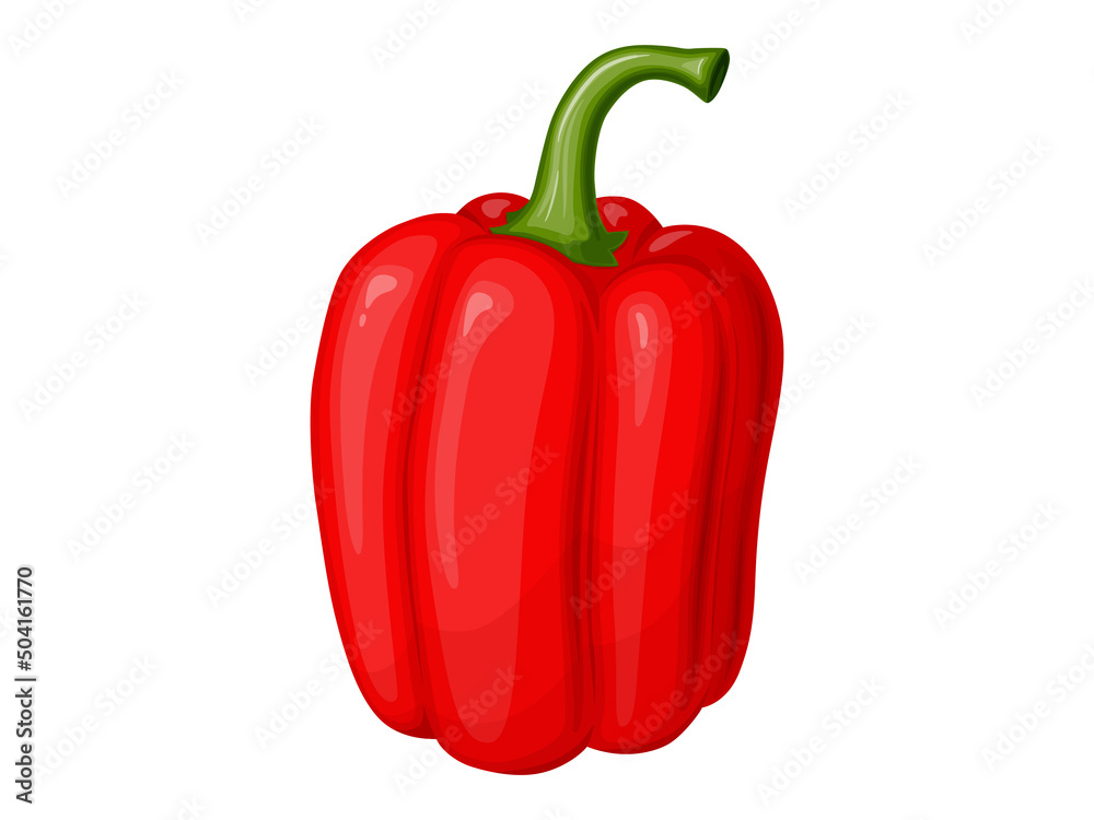 Sweet red bell pepper. Illustration of vegetable in cartoon simple flat ...