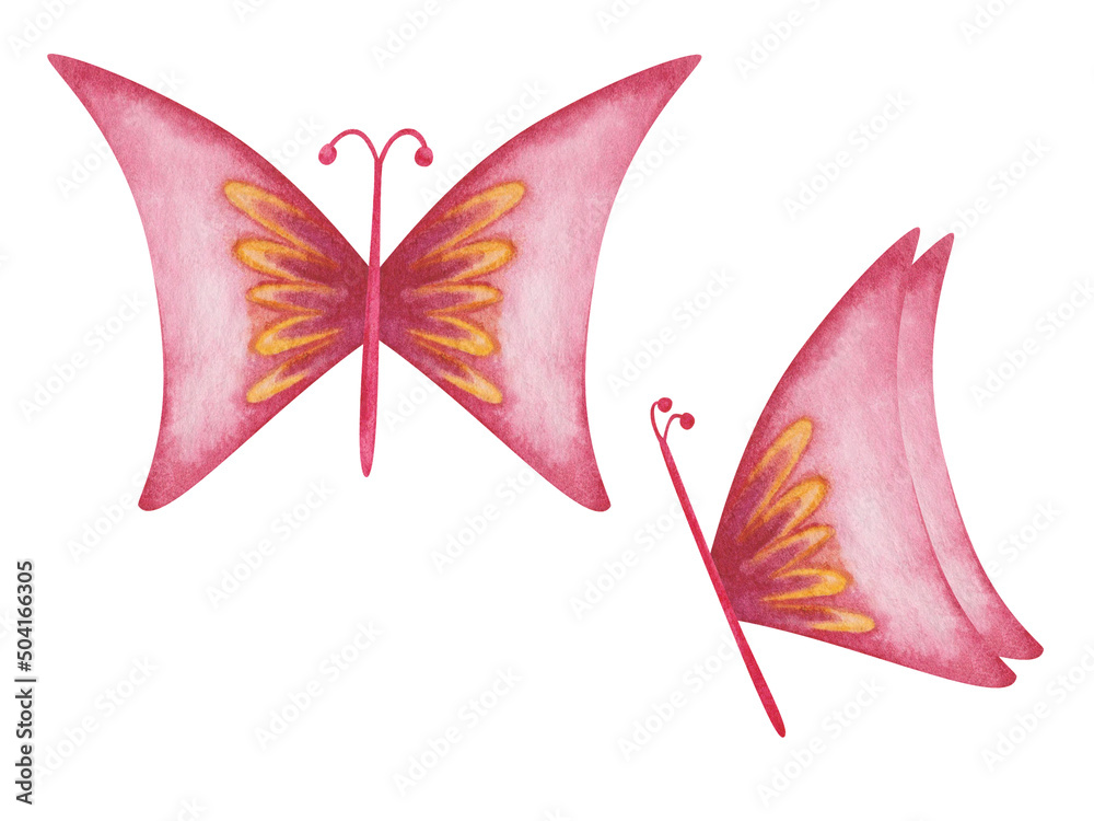 Watercolor illustration of hand painted pink, yellow butterfly with ...