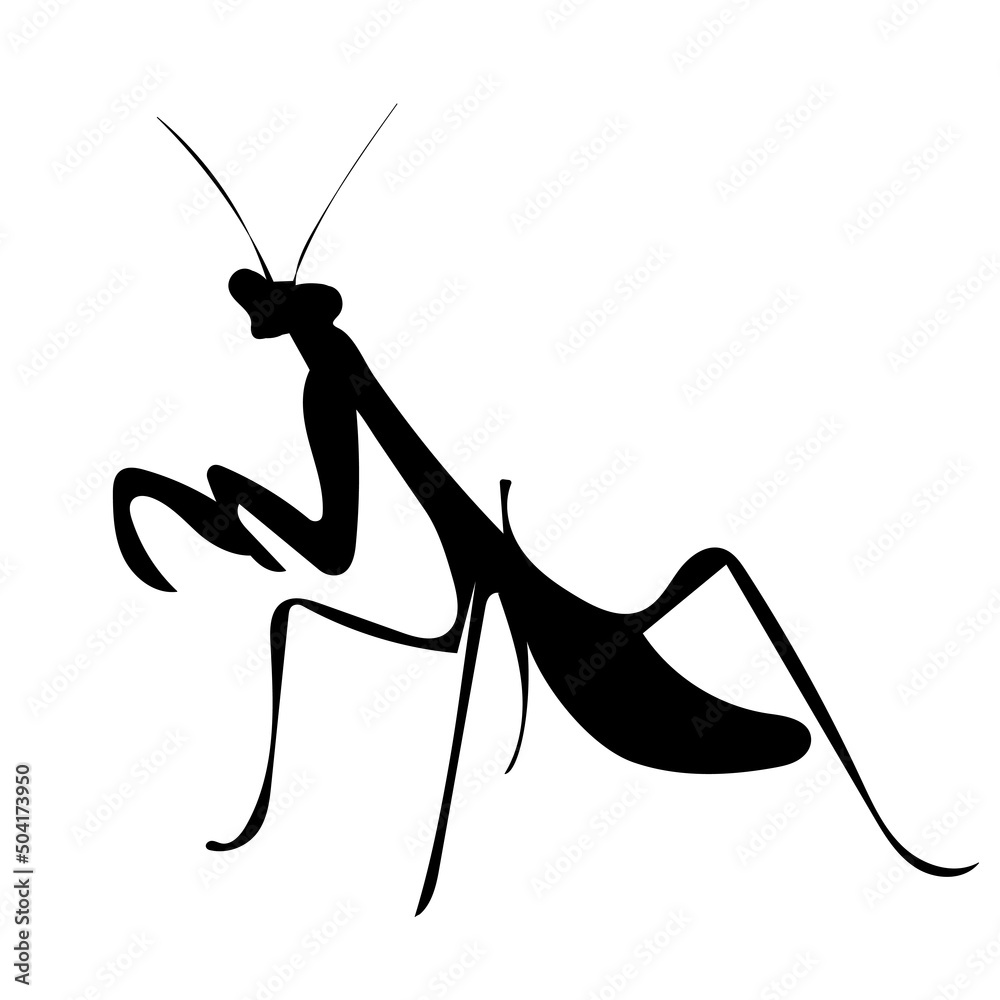 praying mantis silhouette, on white background, isolated, vector Stock ...