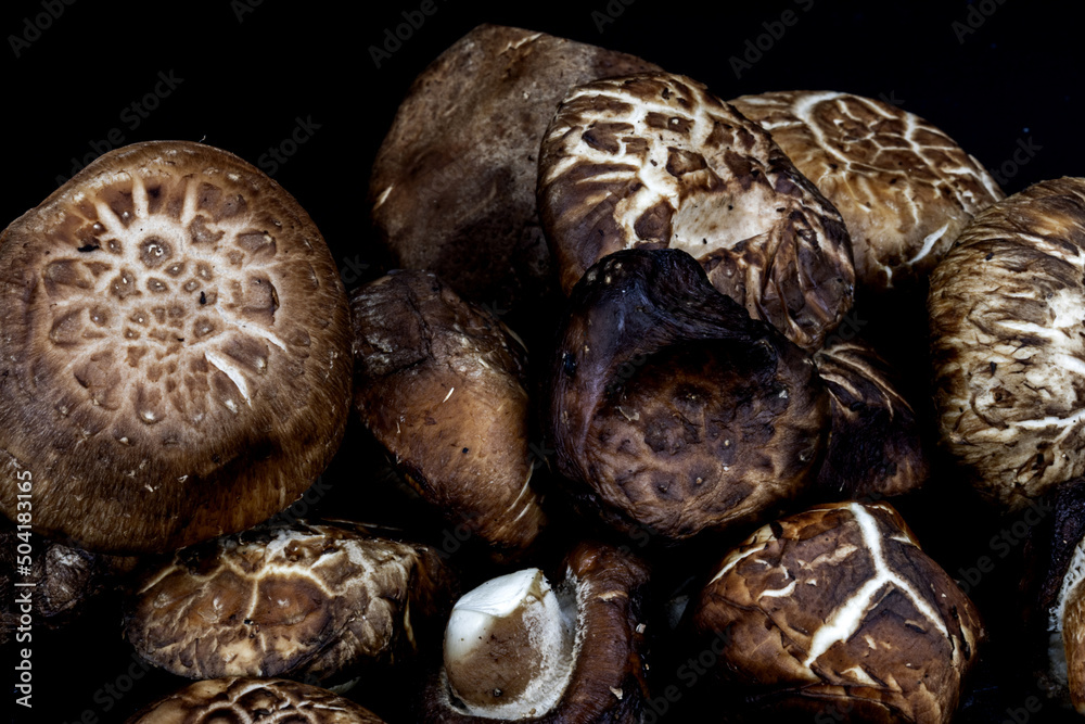 Shiitake Mushroom - The shiitake is an edible mushroom native to East ...
