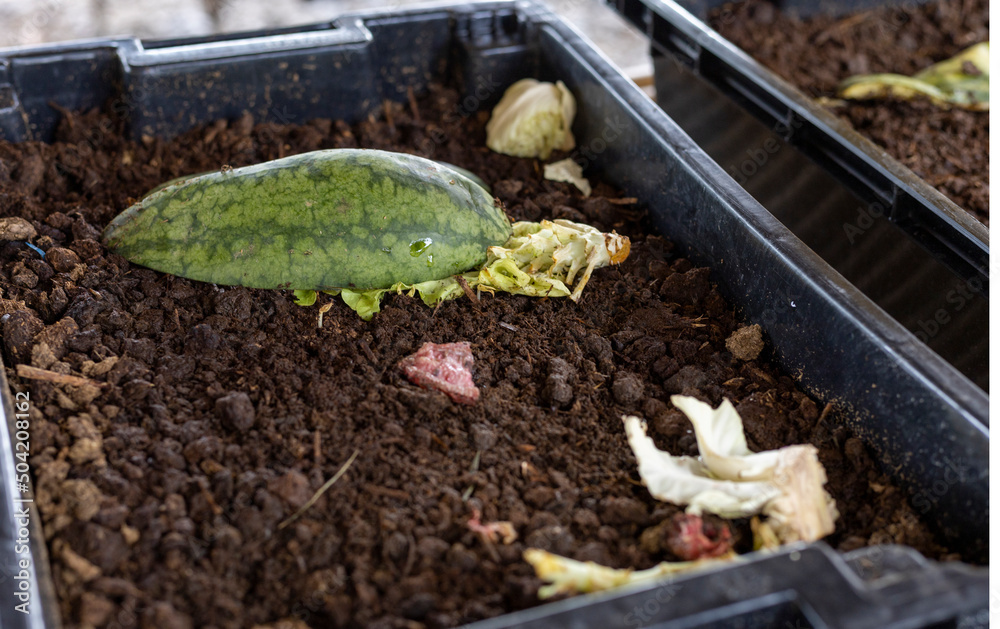 Poster The process of decomposing food waste from earthworms. – Wall ...