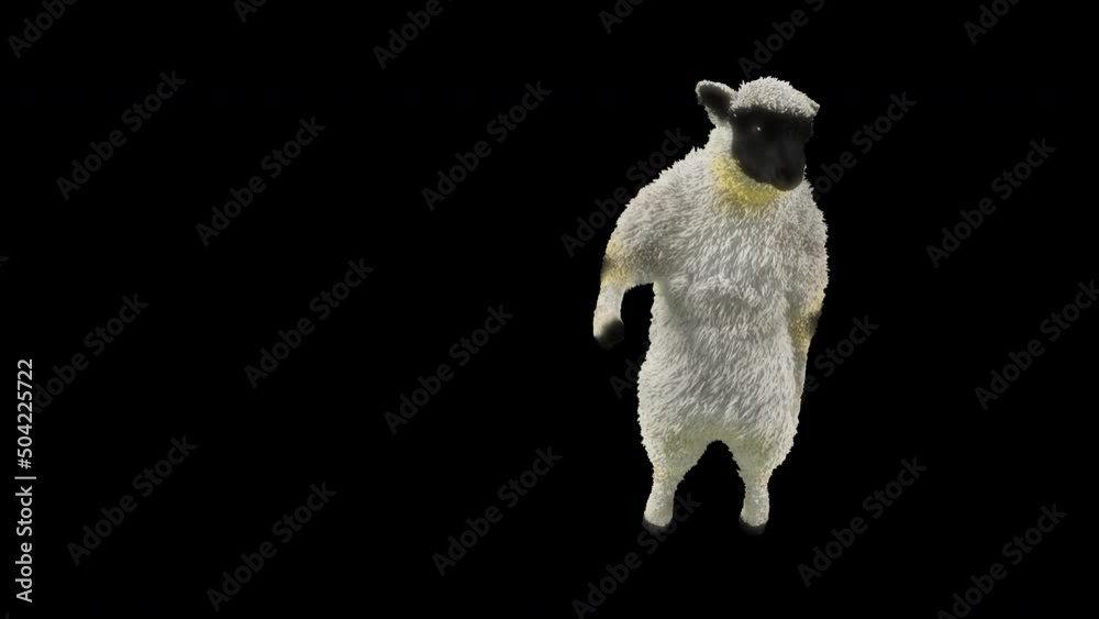 Sheep Dancing, Animal, 3d rendering, Animation Loop, cartoon, included ...