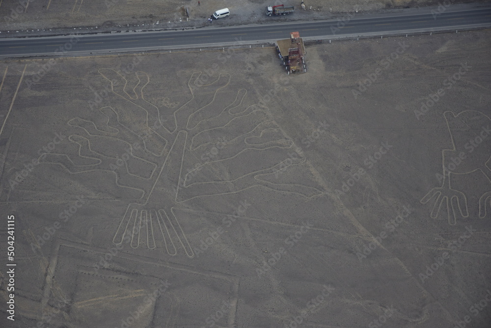 Aerial view of Nazca tower for observation of lizard, tree and frog ...