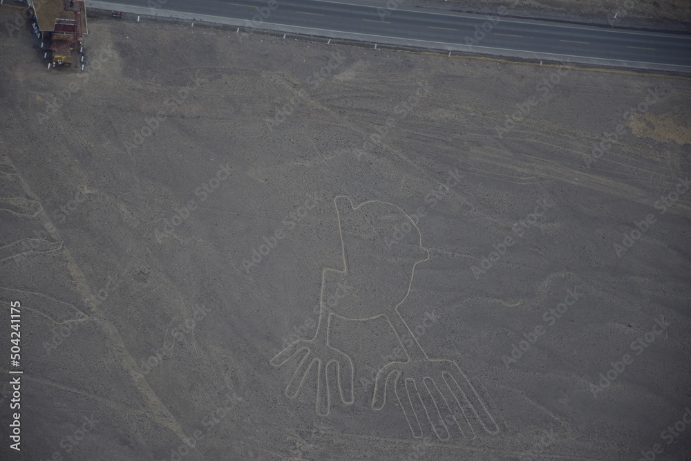 Aerial view of Nazca tower for observation of lizard, tree and frog ...