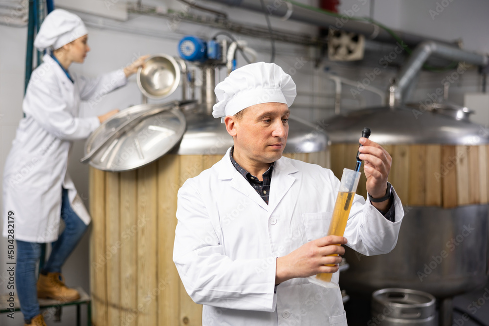 Professional brewmaster controlling craft beer production process in ...